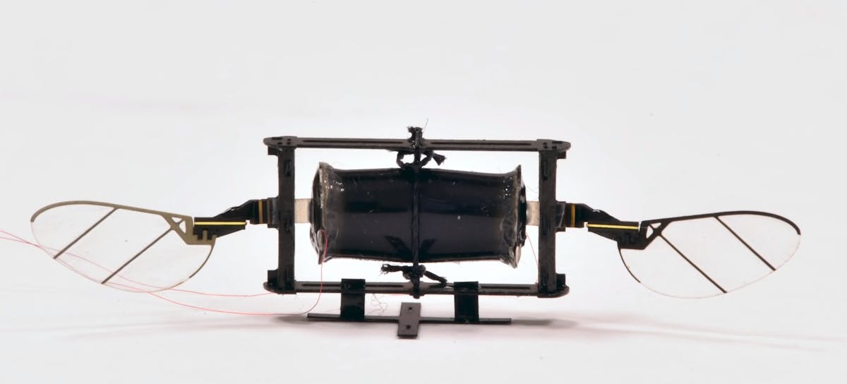 insect like drones | Military Aerospace